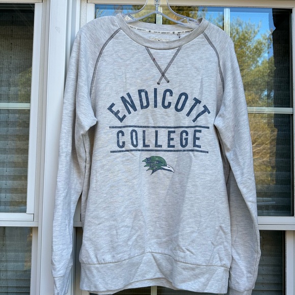 fall rush | Tops | Endicott College Fall Rush Crewneck Sweatshirt Size ...